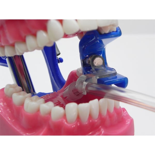 Bite Buddy Saliva Sidekick, 1 Pair: 1 Right- and 1 Left-Oriented. Hands ...