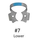 Hygenic Fiesta Color Coded Clamps. #7 (light blue) winged metal dam ...