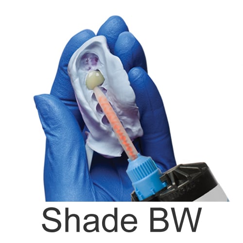 Integrity Multi-Cure Shade BW, 76gm Cartridge Refill and 15 Mixing Tips ...