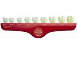 Directa Temporary Crowns Directa Temporary Polycarbonate Crown Mold ...