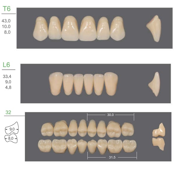 Kaili Synthetic Polymer Denture Teeth, T10/L10/36, Shade A1. 1 Full Set ...