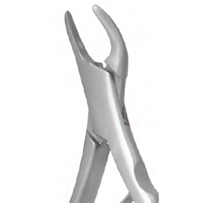 anatomic forceps