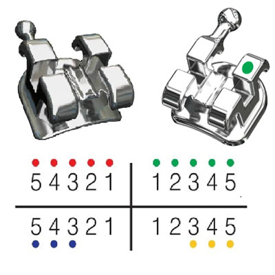 TOL 3B Orthodontics Brackets - Standard, MIM Mesh base, Roth 0.022" | Net32