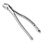 ProDent USA #151 Universal Extraction Forceps for Lower Incisors ...