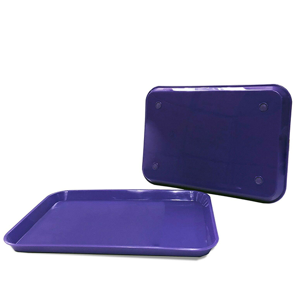plastcareusa Set-Up Trays, Flat Size B (Ritter) PURPLE - Single Tray ...