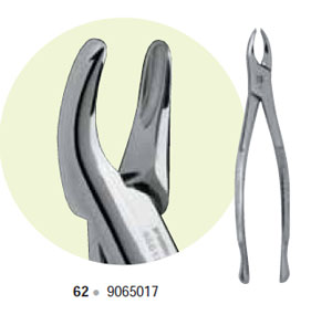 Premier #62 Maxillary Extracting Forceps, For Incisors, Canines and ...