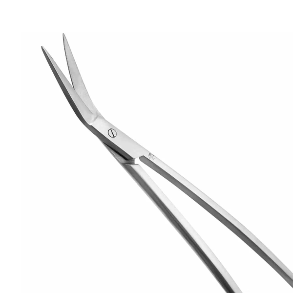 ProDent USA Dean Scissors 7" Length with Serrated Blades, Curved Shank ...