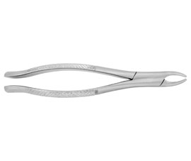 ProDent USA #150 Universal Surgical Forceps, for Upper Incisors ...