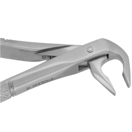 ProDent USA #36 Extracting Forceps | Net32