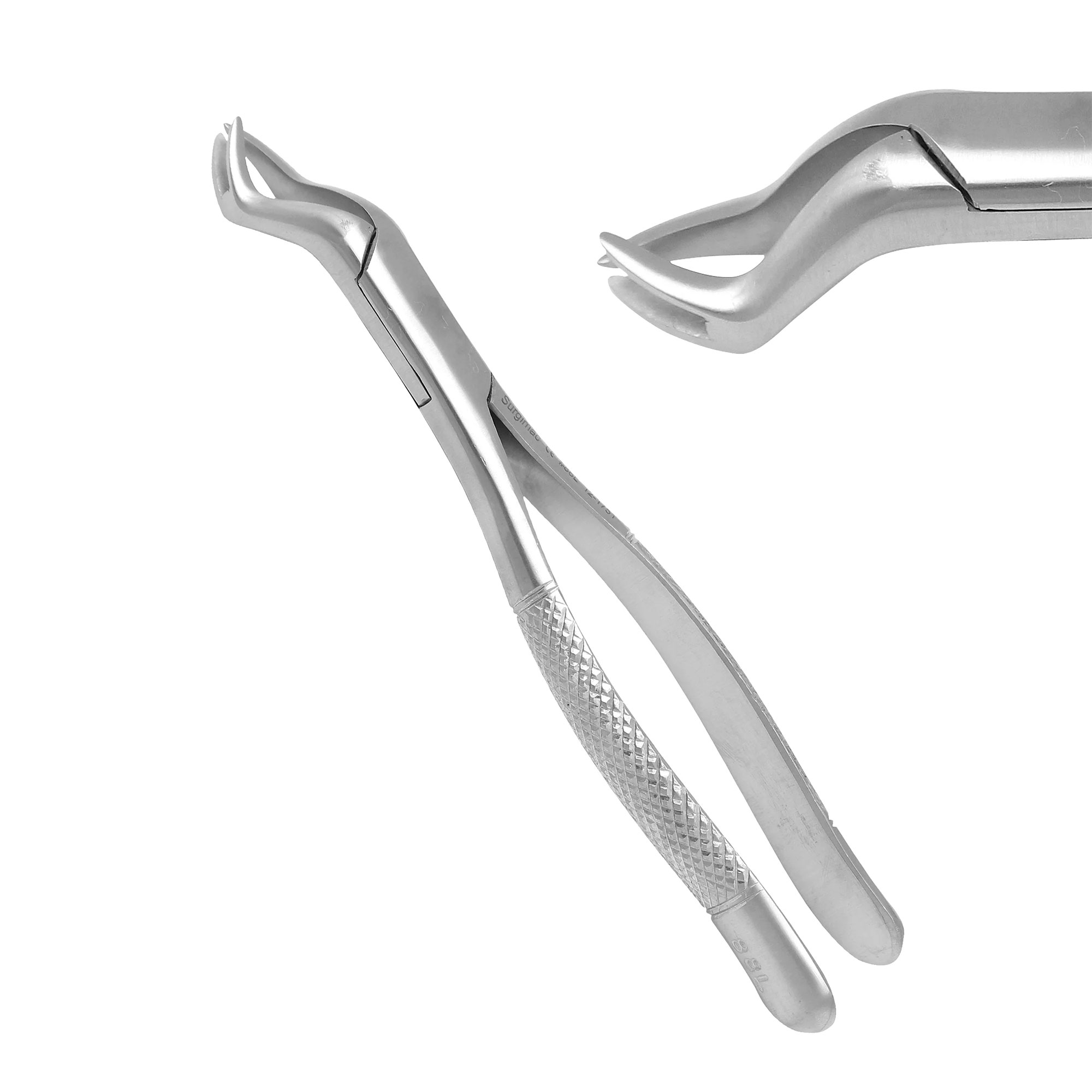 Pro Series #88R Universal Extracting Forceps for Upper Right 1st and ...