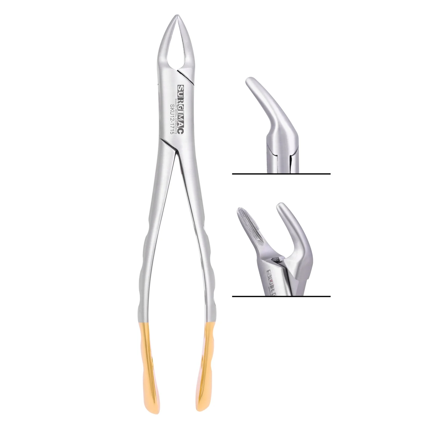 SurgiMac #151 Universal Extracting Forceps, for Lower Incisors, Cuspids ...